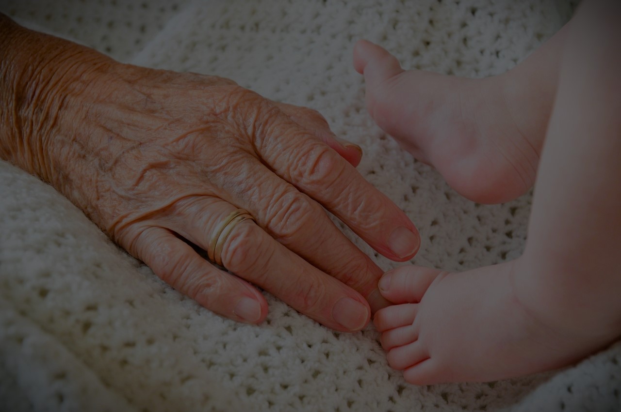 Understanding Merism - Education. Knowledge. Power.